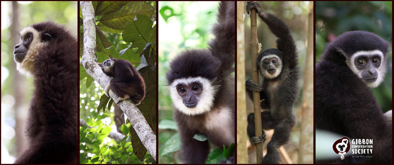 GivingHub - Giving Made Easy