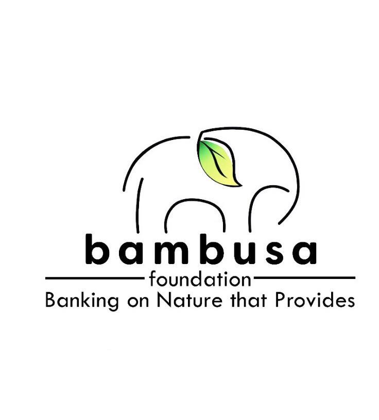 NGOhub - We Serve Changemakers